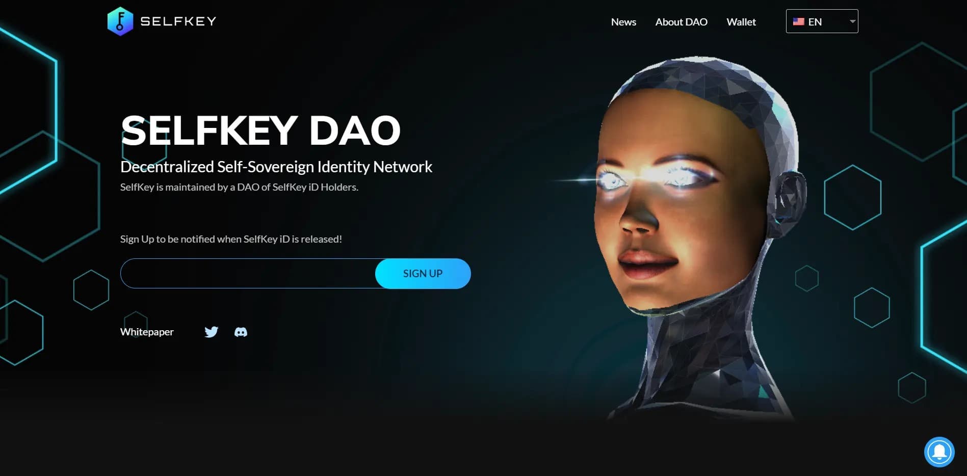 SelfKey DAO and Self-Sovereign Identity - Next gem on Binance? - Crypto Head
